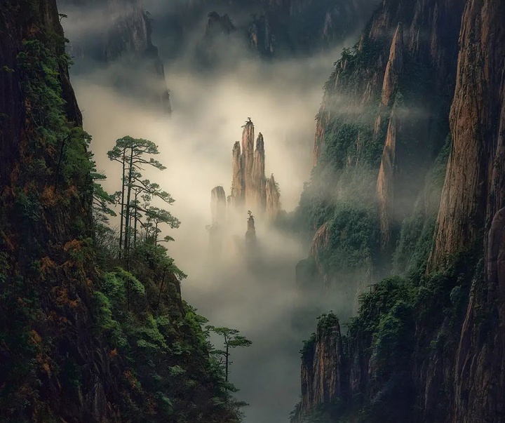 Gallery of Photography by Max Rive - Netherlands