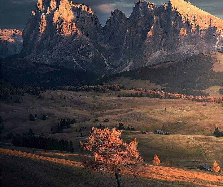 Gallery of Photography by Max Rive - Netherlands