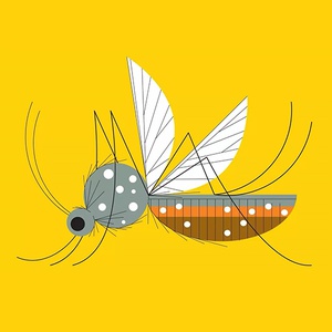 Gallery of Illustration by Patrick Hruby - USA